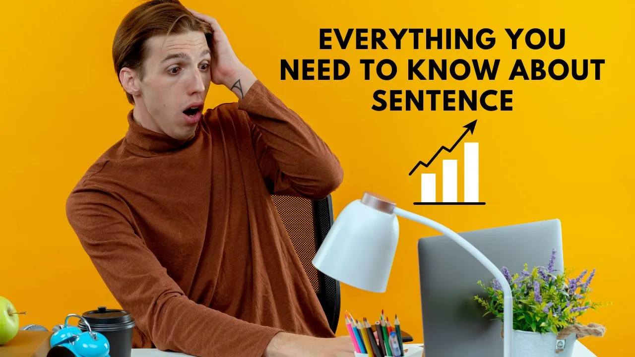 Everything You Need to Know About Sentence - English Shiki